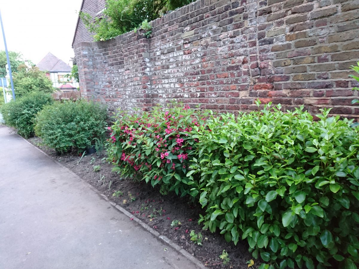 Wanstead Community Gardeners’ Projects – Grove Park Linear Bed ...