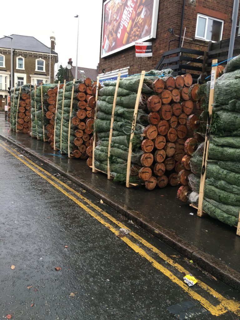 Wanstead tree weekender – Wansteadium