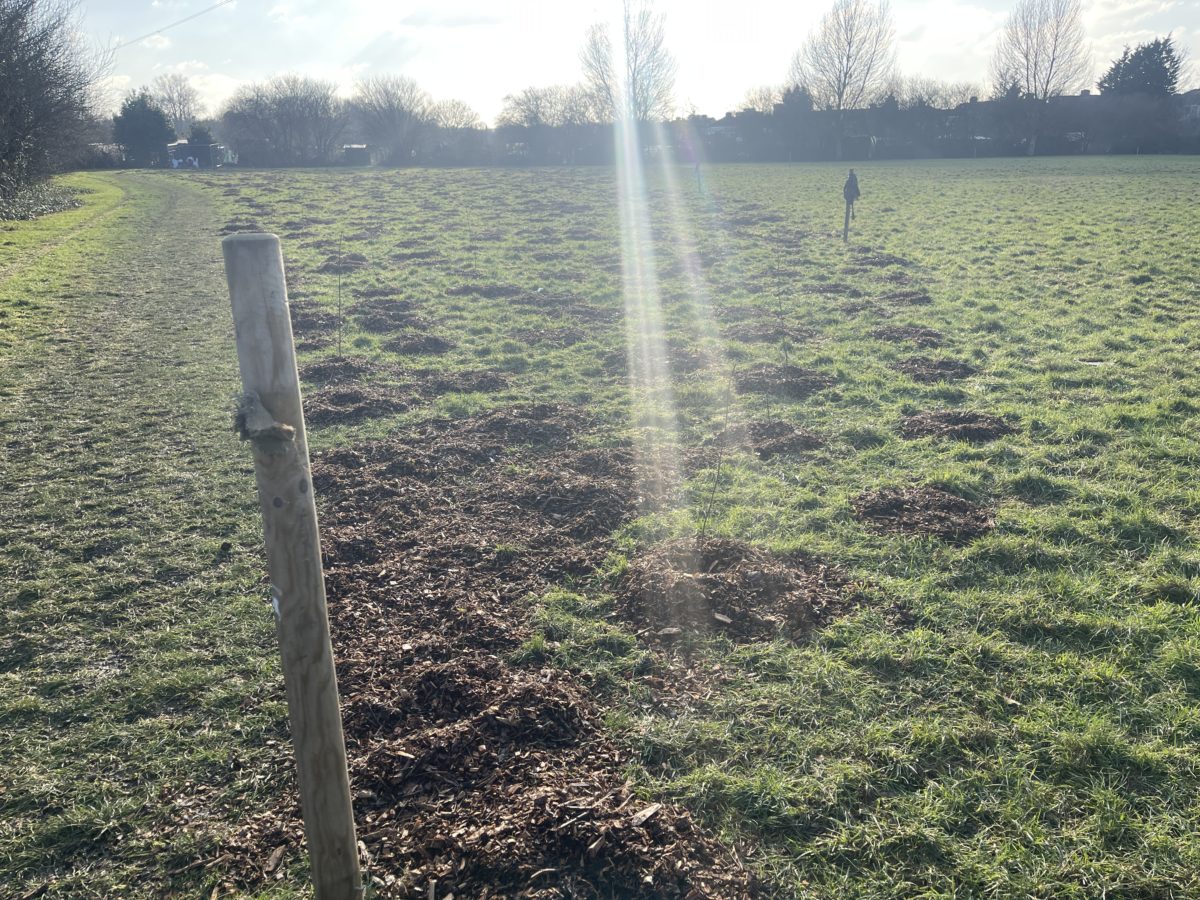 Wansteadium – Wanstead news, events and tickets