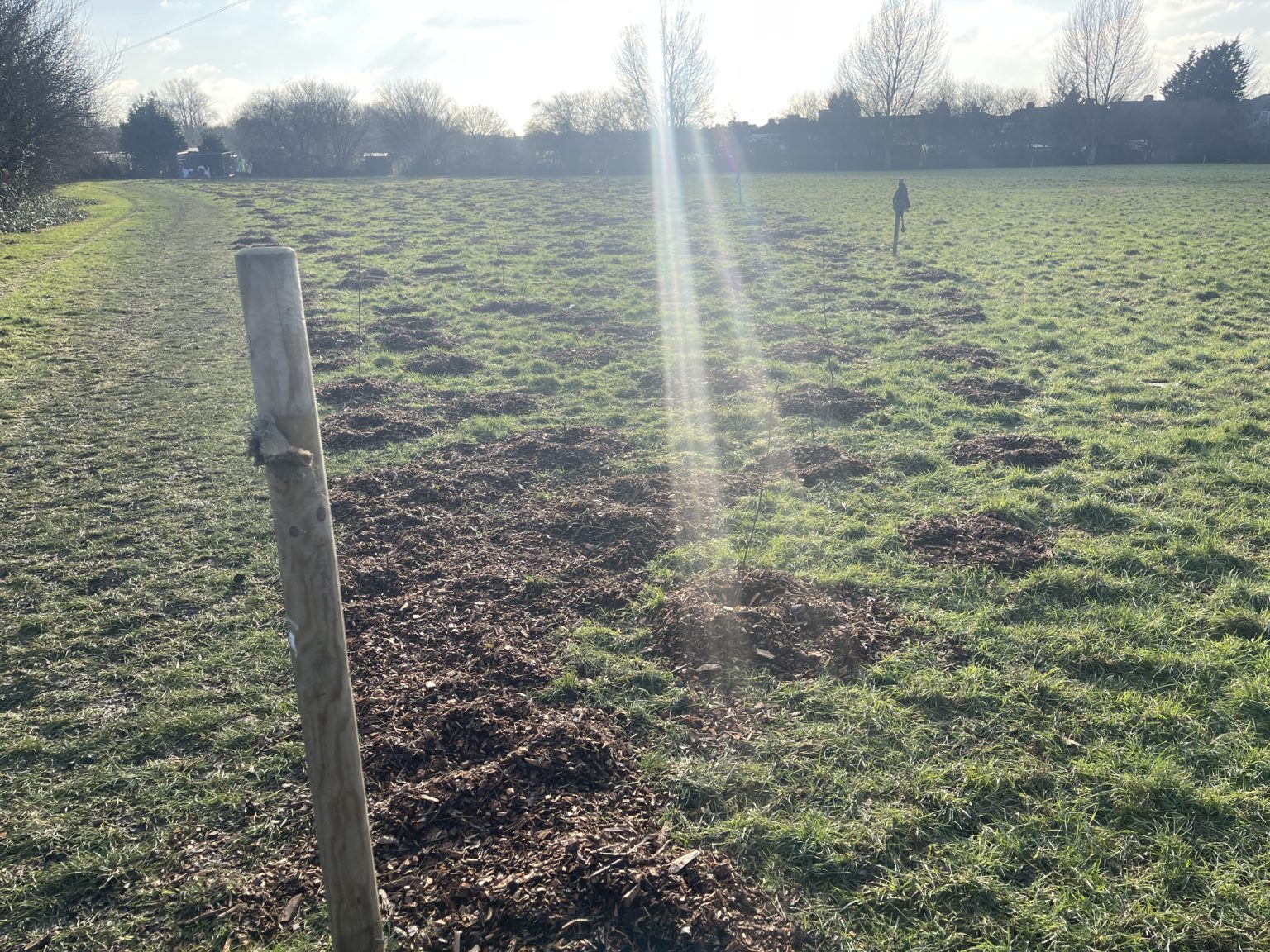 Wansteadium – Wanstead news, events and tickets