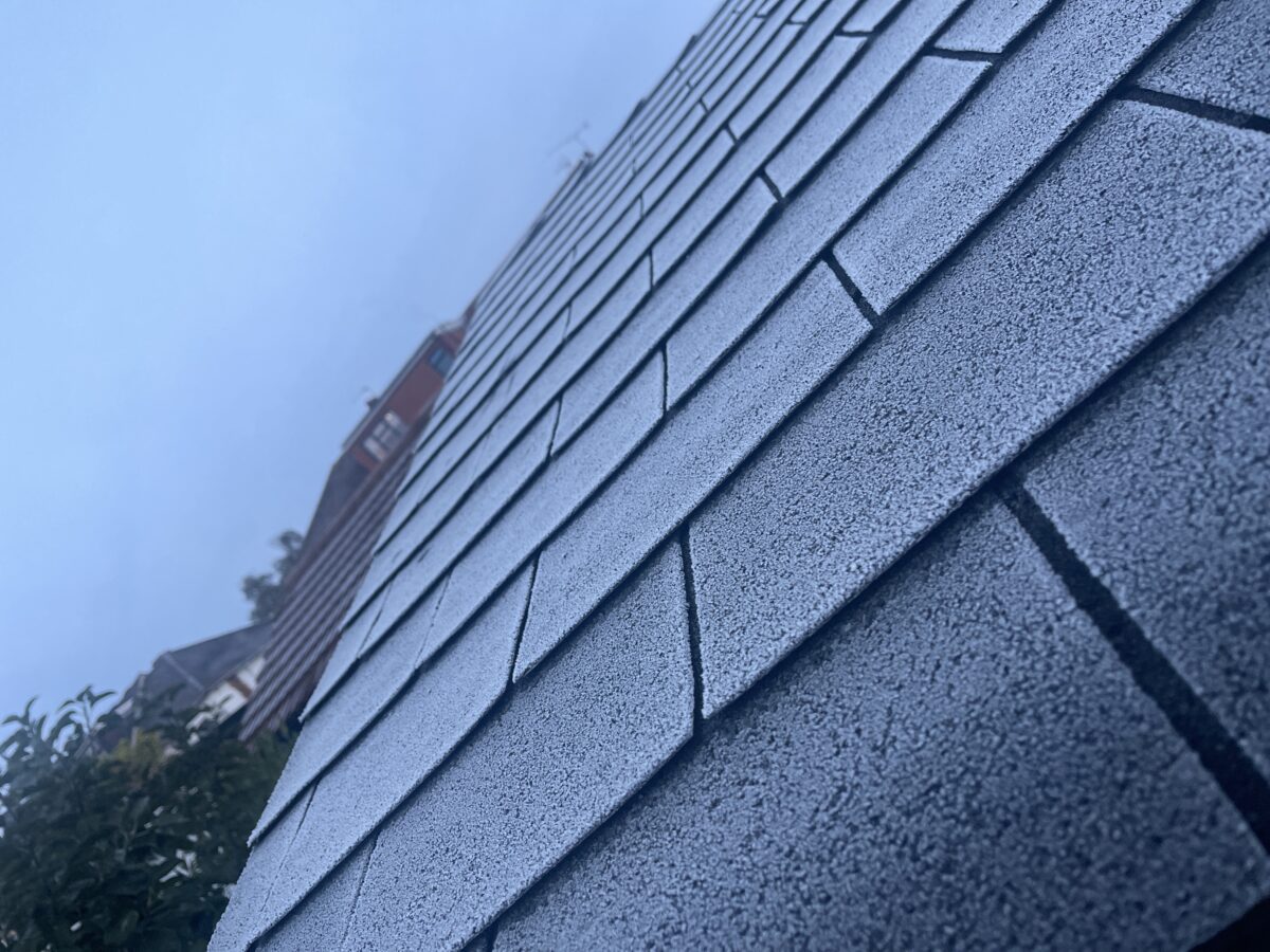 Wanstead’s first frost, 2023 – Wansteadium