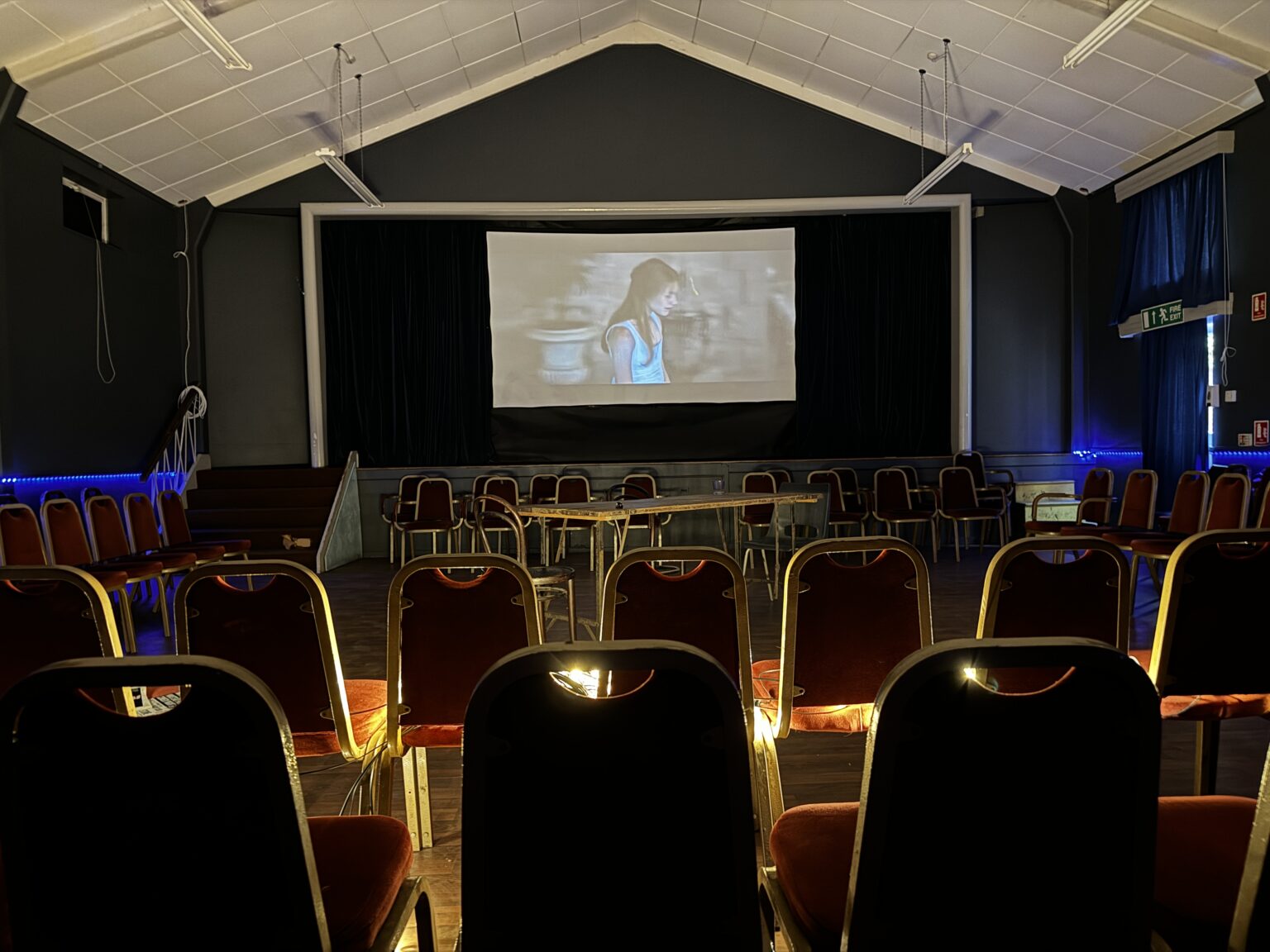 First glimpse of the Wanstead Curtain – Wansteadium